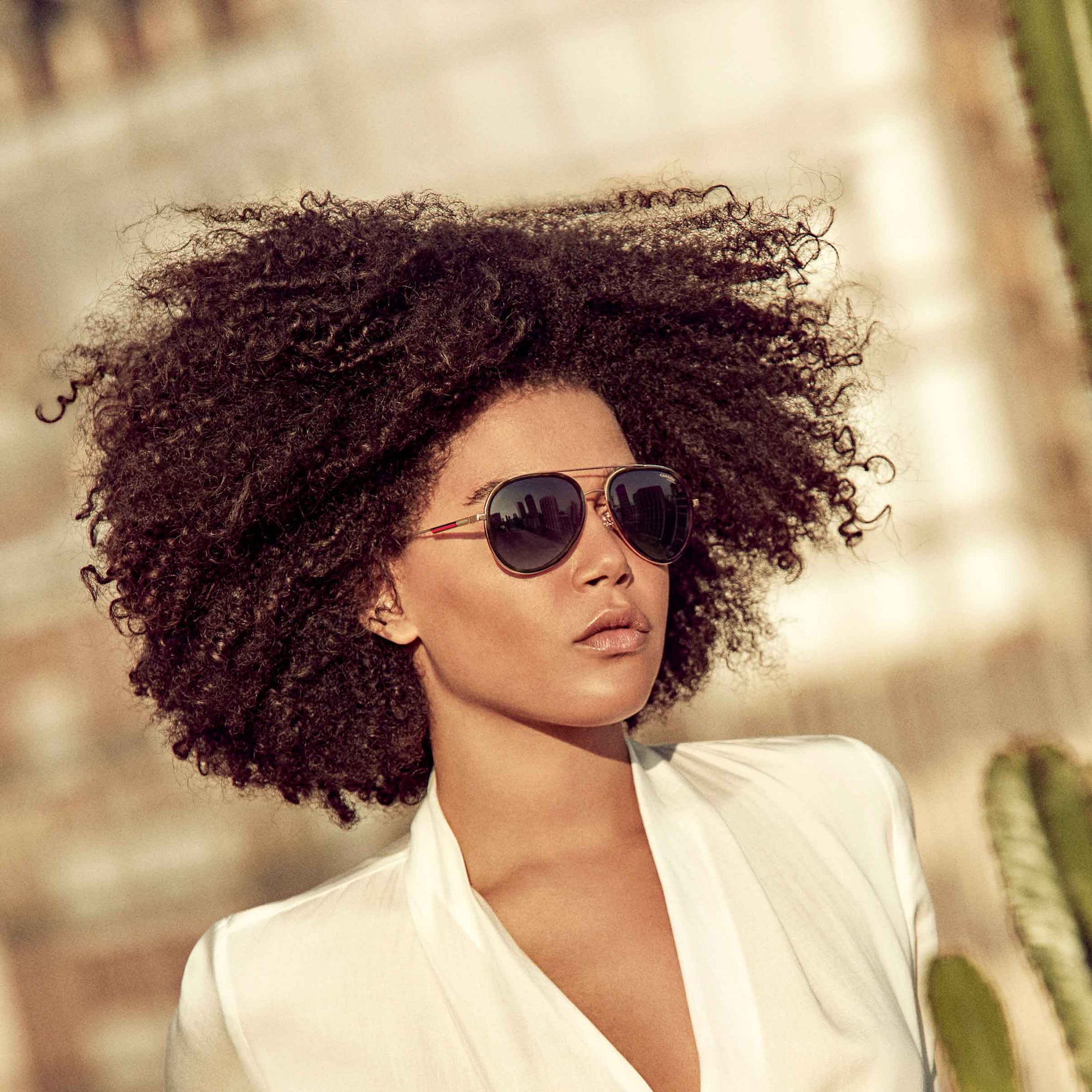 Shop By Face Shape – CarreraWorld